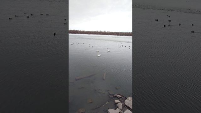 Берег Надежды!-пос.Молодежный-Бийск!