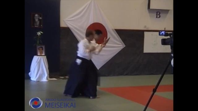 20.Aikido Gyaku Hanmi Sankyo Shishiya Sensei, Sundsvall unknown year