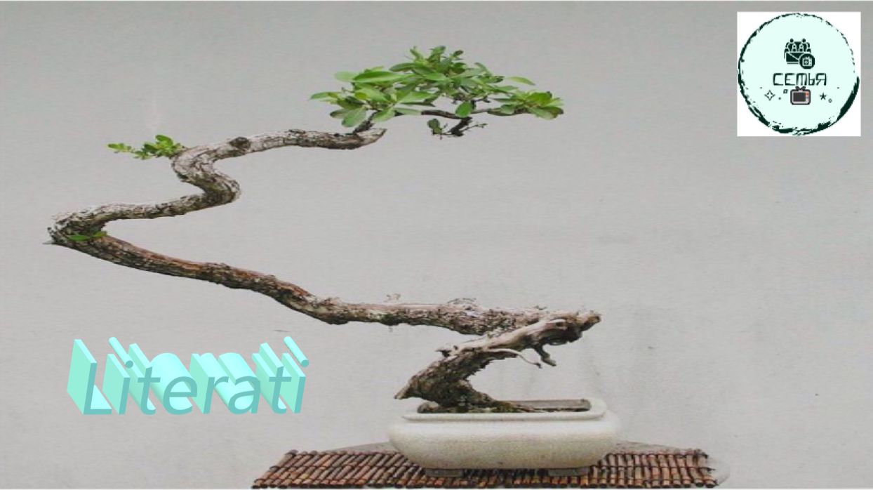 СТИЛЬ БОНСАЙ ЛИТЕРАТИ Literati или БУНДЖИН Bunjin