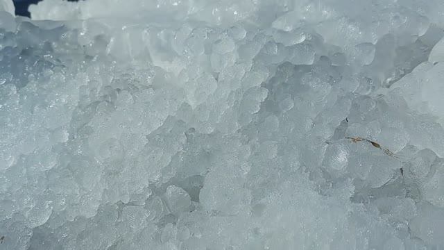 Дятлик и весна!