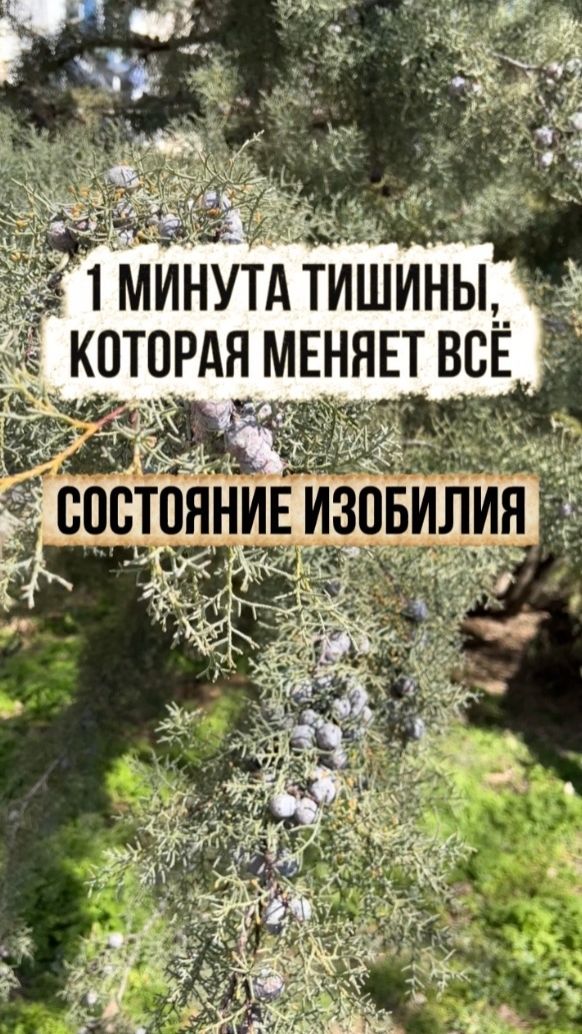 Состояние изобилия