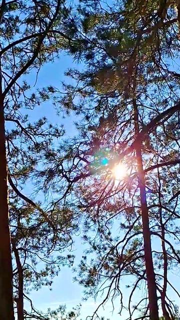 💖Нежное дыхание весны