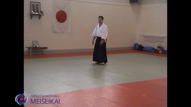10.Aikido Ushirowaza Udekimenage Shishiya Sensei Sandviken 2007