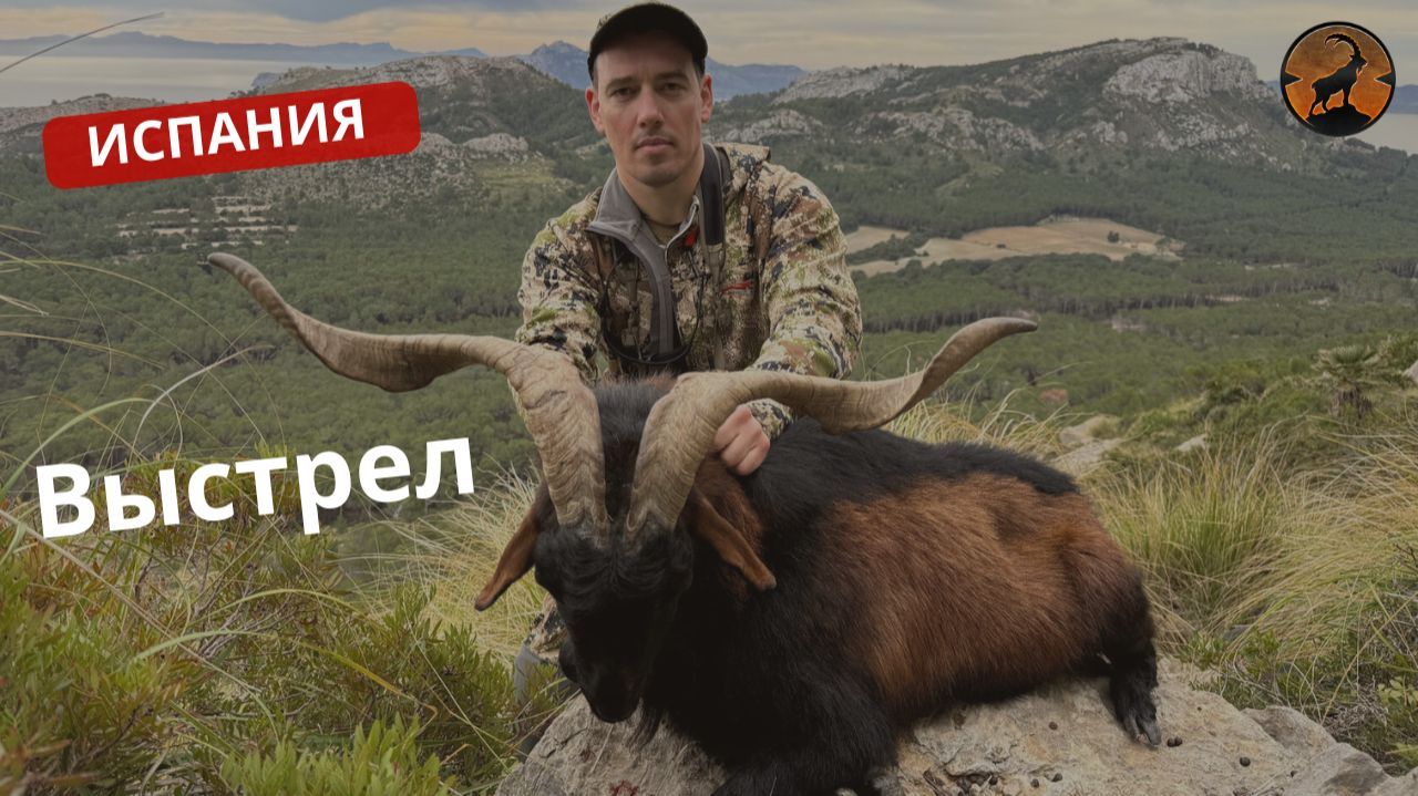 ИСПАНИЯ| БАЛЕАРСКИЙ КОЗЕЛ | ВЫСТРЕЛ