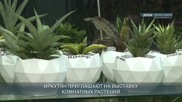 Главные новости Иркутской области, 27 марта 2026 года