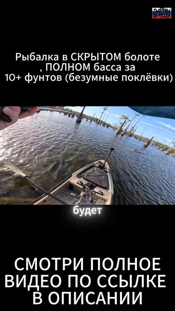 Рыбалка в СКРЫТОМ болоте, ПОЛНОМ басса за 10+ фунтов (безумные поклёвки) ЧАСТЬ 4/11