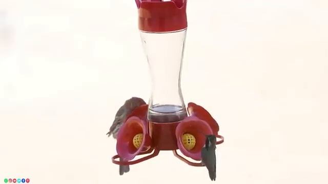 _ДОРОГА В НЕБЕСА