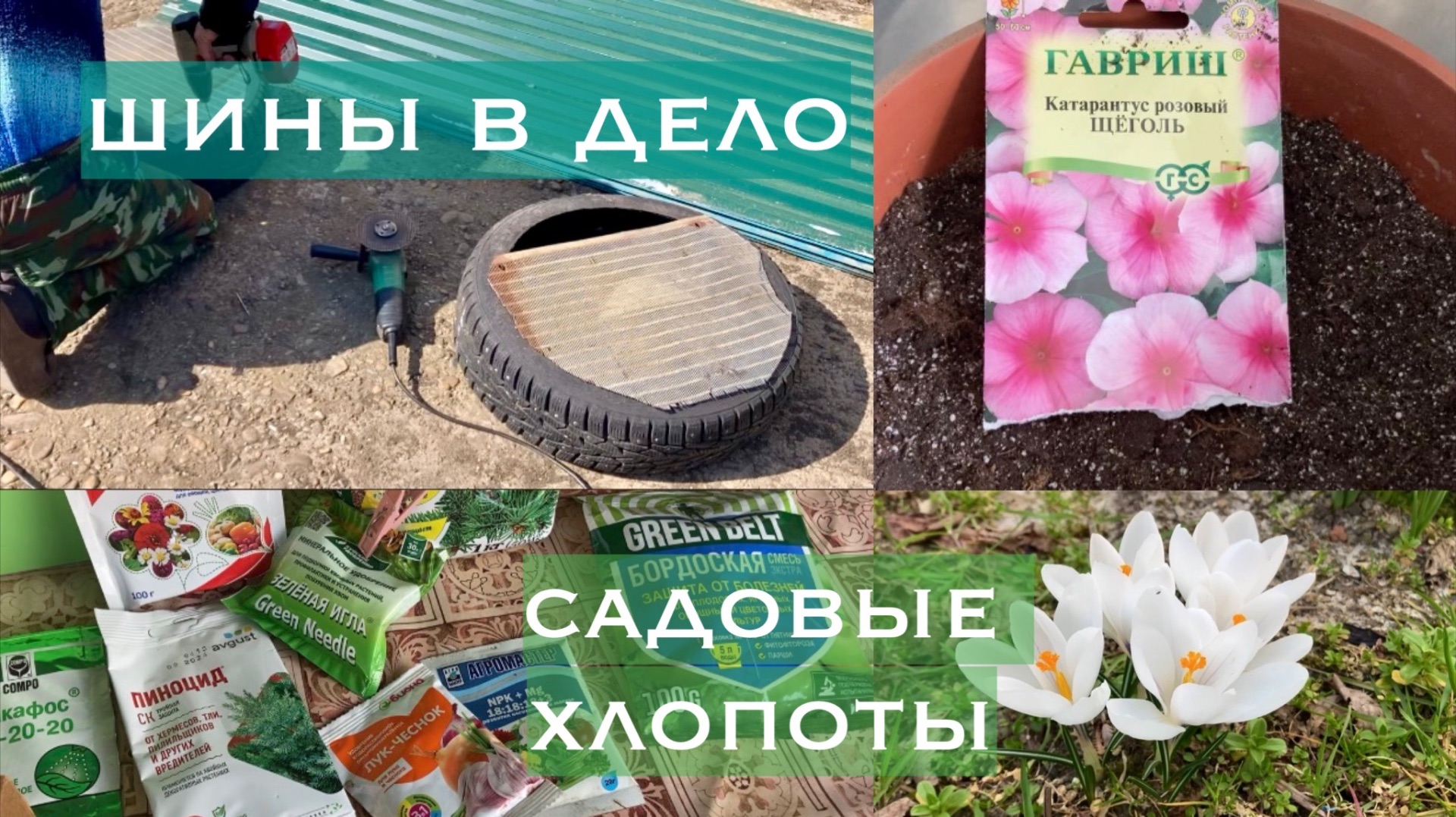 Адыгея/ День на хуторе/ Шины для курятника/ Посадка и обработка/ Гортензия/ Катарантус/