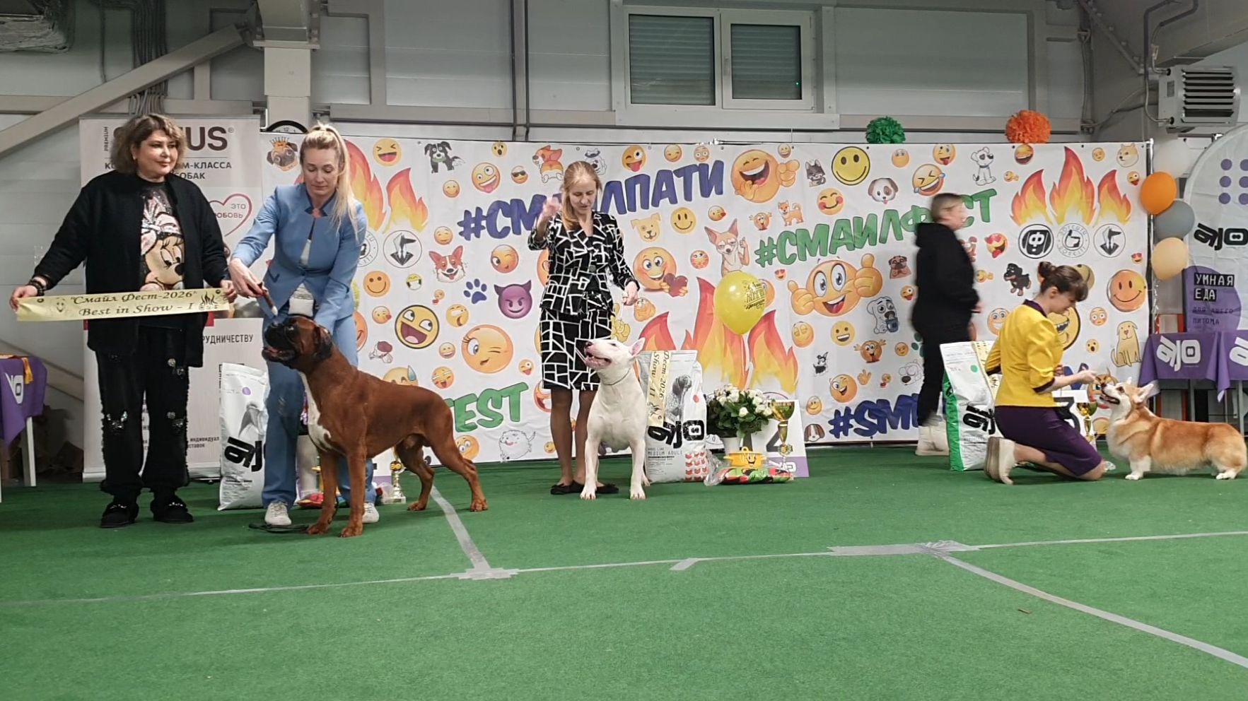 07.03.2026, СПб. Клуб "ФАУНА" (РКФ, РФЛС). Выставка собак всех пород "ФАУНА-ФЕСТ" (CAC, ЧФ)