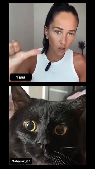 Советы котопсихолога 🙀