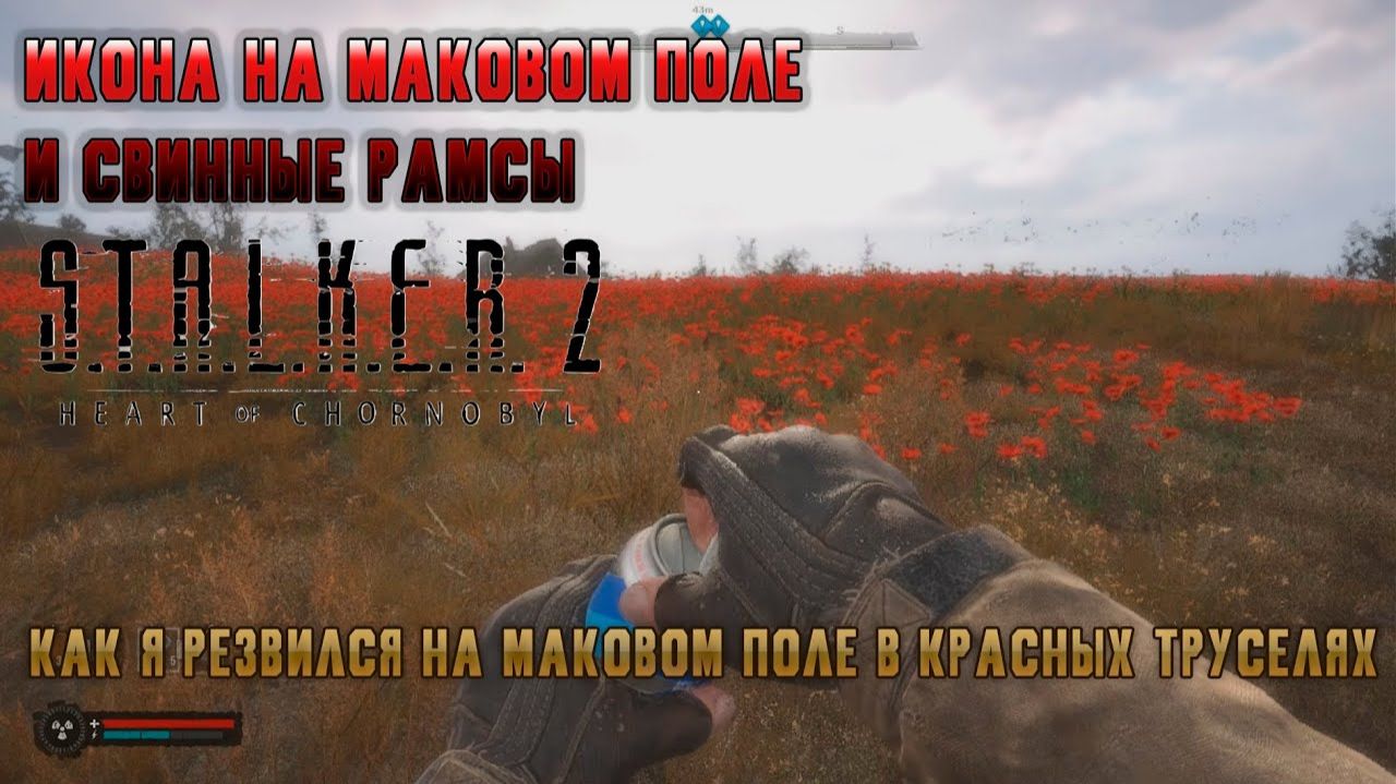 S.T.A.L.K.E.R. 2 - Атака хрюшек и прогулка по МАКОВОМУ ПОЛЮ