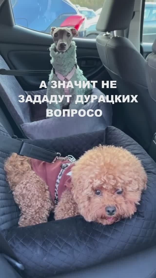 ЛУЧШИЕ АНТИДЕПРЕССАНТЫ. Смешное видео.