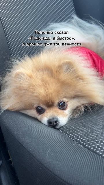 Папа бросил на три вечности!