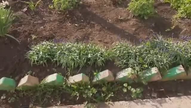 Садовый влог с моей маленькой помощницей 03 мая 2023