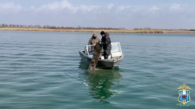 От мошенничества на 68 млн до спасения 9 тысяч раков: полиция раскрыла серию преступлений