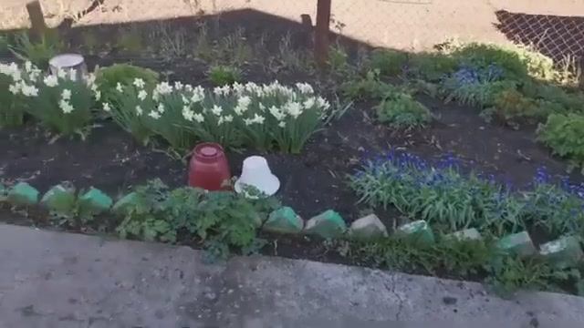 Пруд легко своими руками 08 мая 2023 г Едем в город на поющие фонтаны