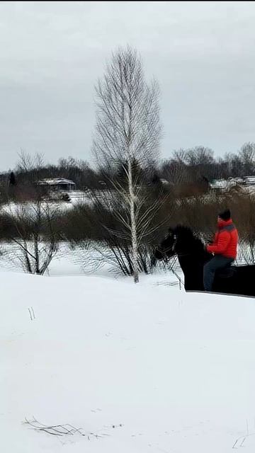 Казахские гены проснулись! Джигит в седле 🇰🇿🐎