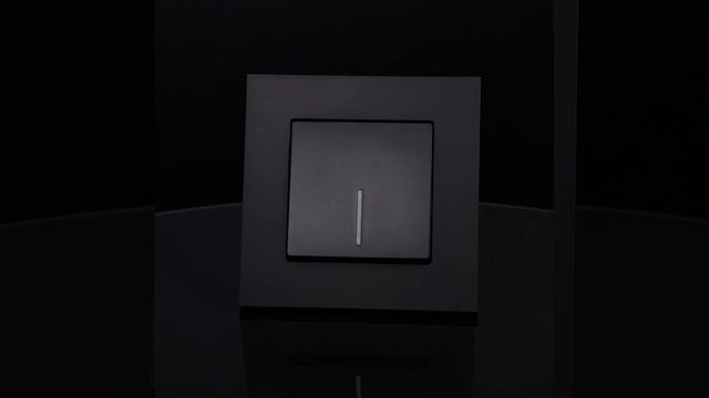 Рамка Werkel Slab черный матовый W0012908 + выключатель с подсветкой Werkel черный матовый W1110108