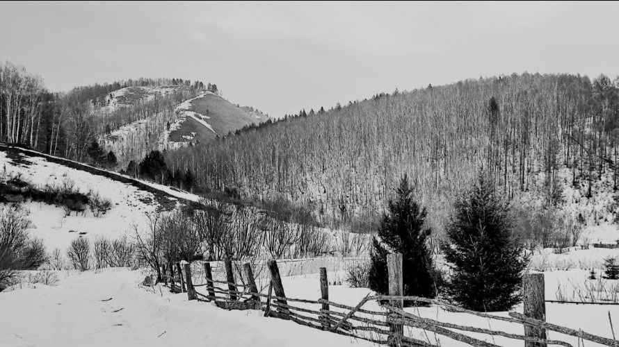 "Я увидал тебя впервые"  -  романс.