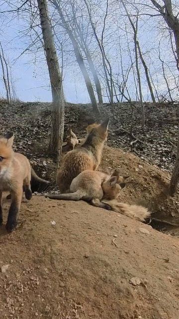 С мамой весело и не страшно!