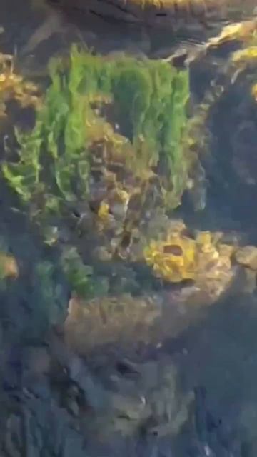 Ритм пробуждения. Ольга Завгородняя. #вселеннаяя #пробуждение #ритмпробуждения