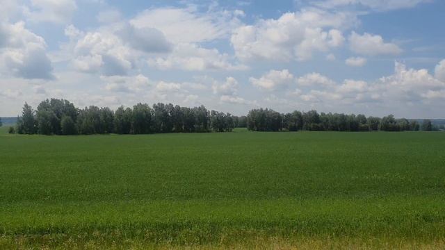 Где то под Курганом