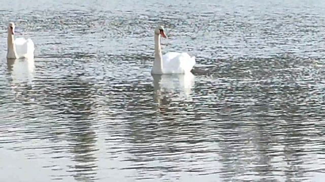 г. Котово 27.03.26