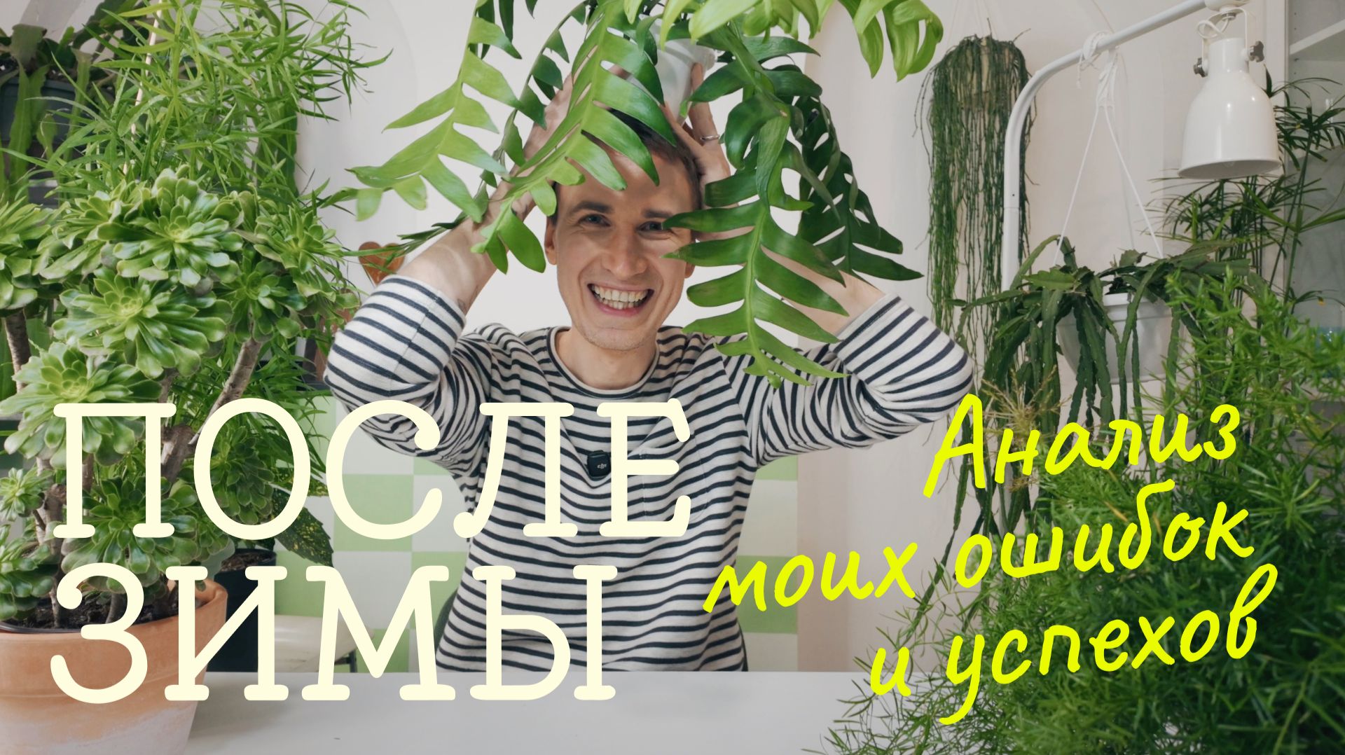 Подводим итоги зимовки моих растений 2025-26