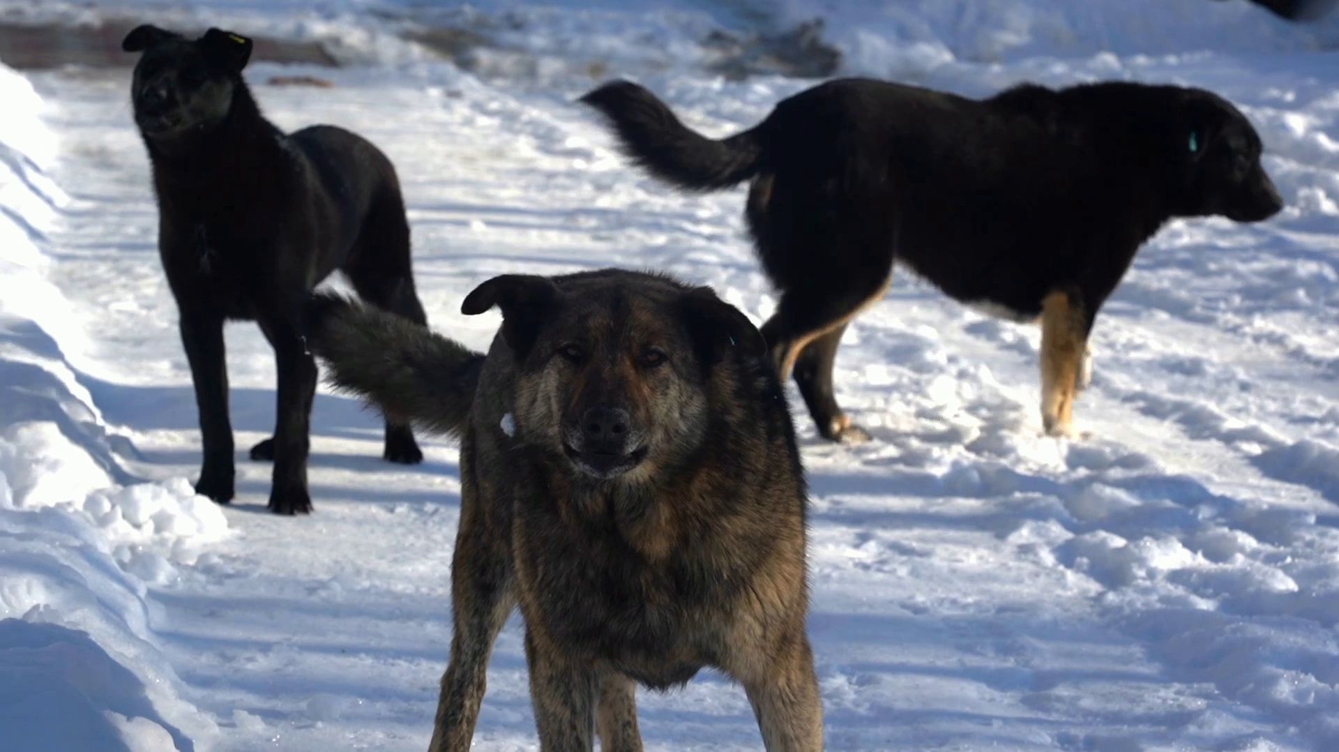 «Большая область | 28.03.2026»