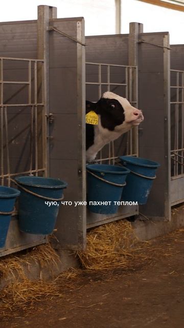 Запахло теплом! 🌤️