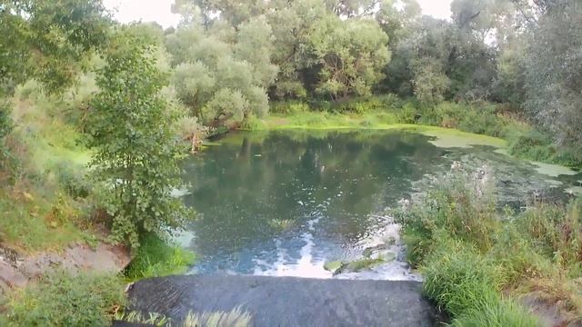 Возвращение ( на могиле матери)