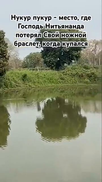 Место, где Господь Нитьянанда, потерял Свой ножной браслет. Сафари с ЕС Джаяпатакой Свами кришна