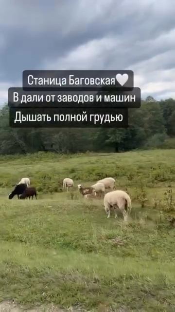Баговская