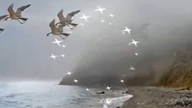 Вероника Тушнова — Улыбаюсь, а сердце плачет... муз. и исп. Самуил Фрумович