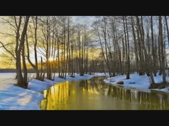 28 марта - Александров день, Лесное ухоженье. Традиции и народные приметы