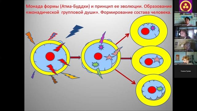 Сложный состав человека и его формирование в процессе эволюции, ч. 2. Е.М.Егорова. 21.03.26 г.