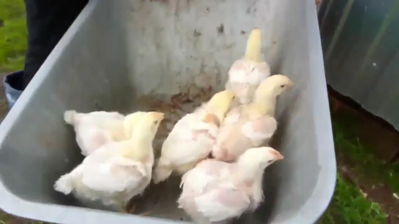 All inclusive. Всё включено