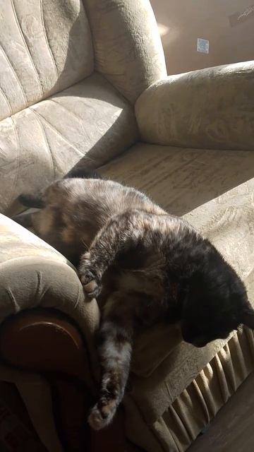 Всем доброе утро