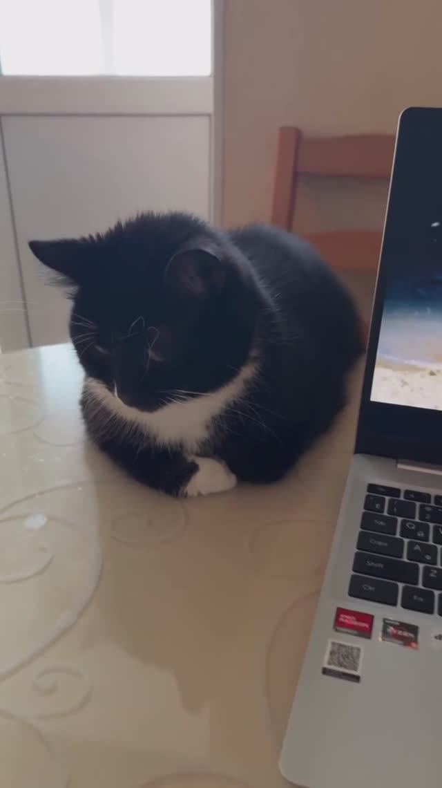 какой красавец какие усы