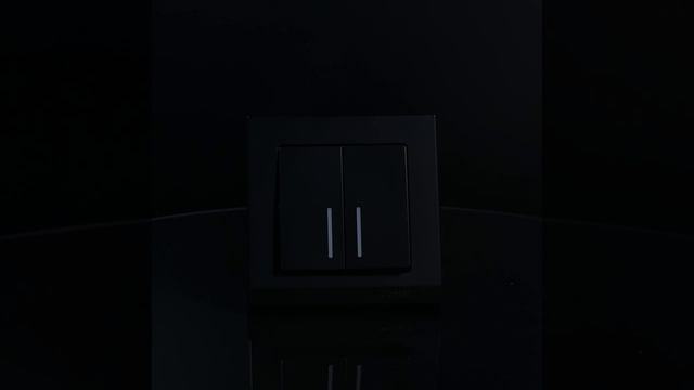 Рамка Werkel Stark черный W0011808 + выключатель с подсветкой Werkel черный матовый W1120108