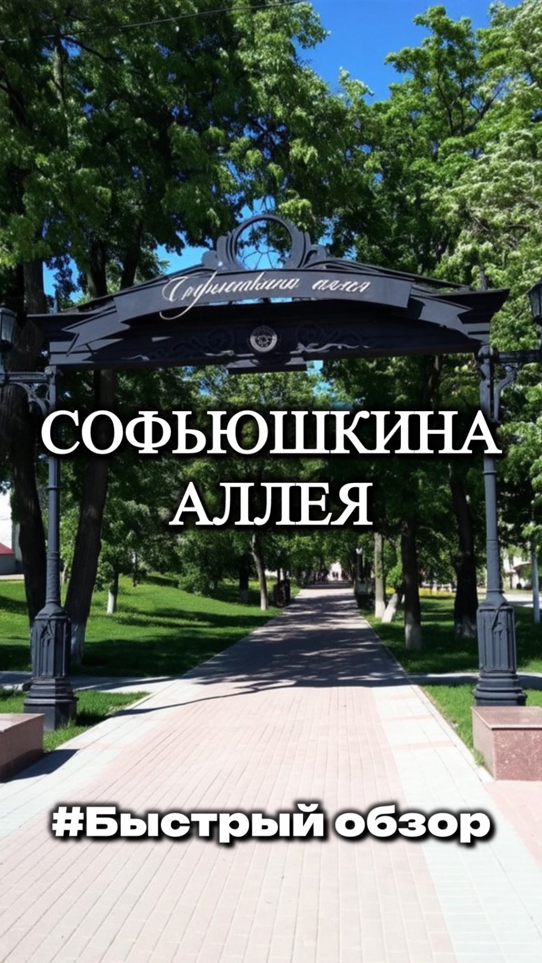 copy_E8047617-5FD2-4EAA-B85A-D5F37FCD3194