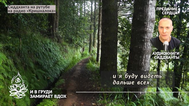 И в груди замирает вдох. Аудиокниги Сиддханты (Вячеслава Чернина)