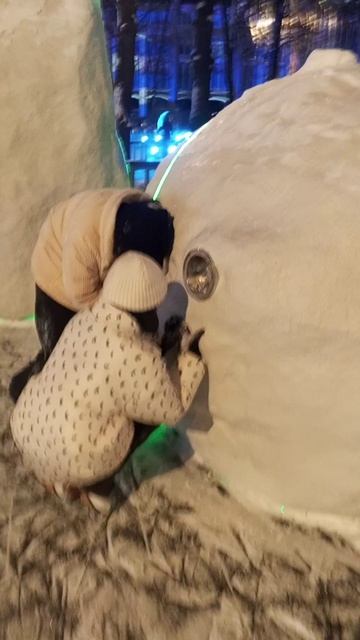 Новый облик катка в Лужниках