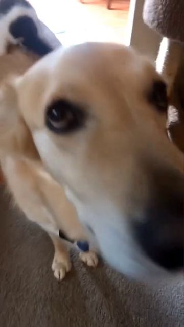 Катается с детства