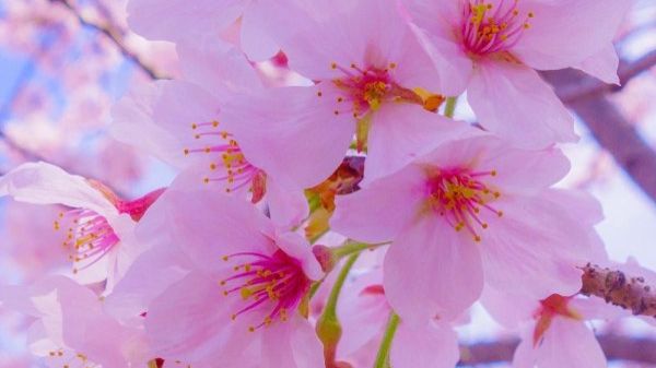 МОЯ ВЕСНА ВО МНЕ!