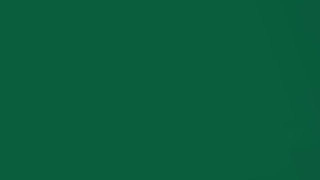 2 IN 1 (WII) Gameplay