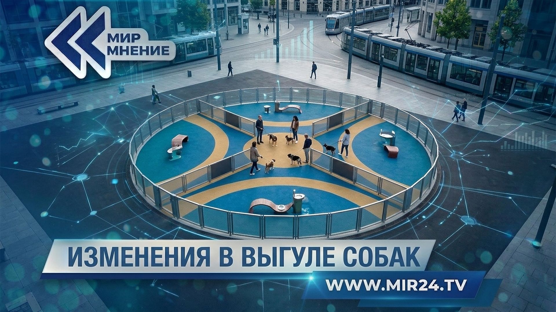 Новый ГОСТ на выгул собак в России. Что изменится?