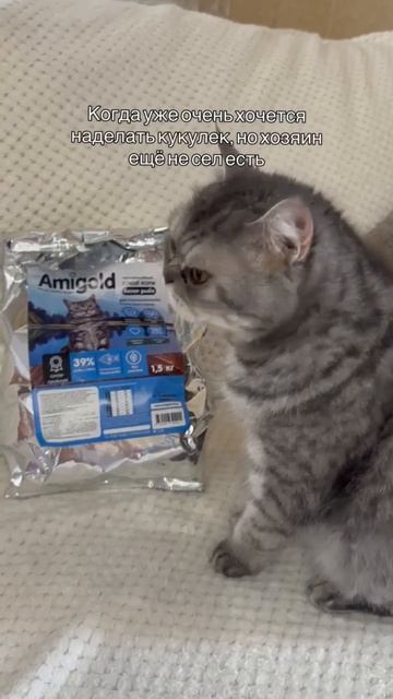 #AmiGold - видео от наших любимых покупателей