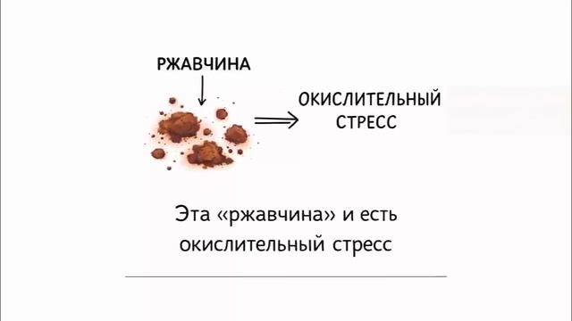 Метод снижения висцерального жира