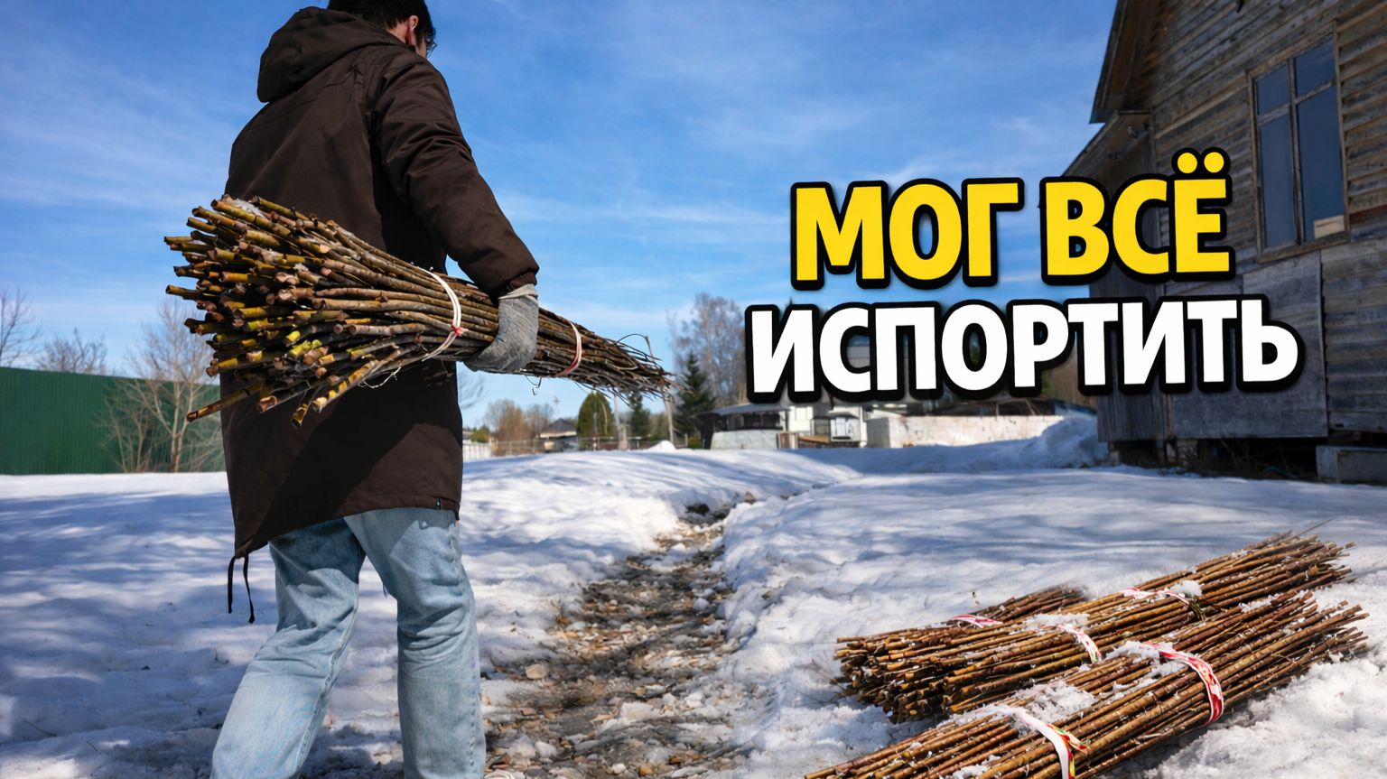 ЧУТЬ НЕ ЗАГУБИЛ БУДУЩИЙ ЗАБОР | ПОДГОТОВКА ПРУТЬЕВ К ПОСАДКЕ